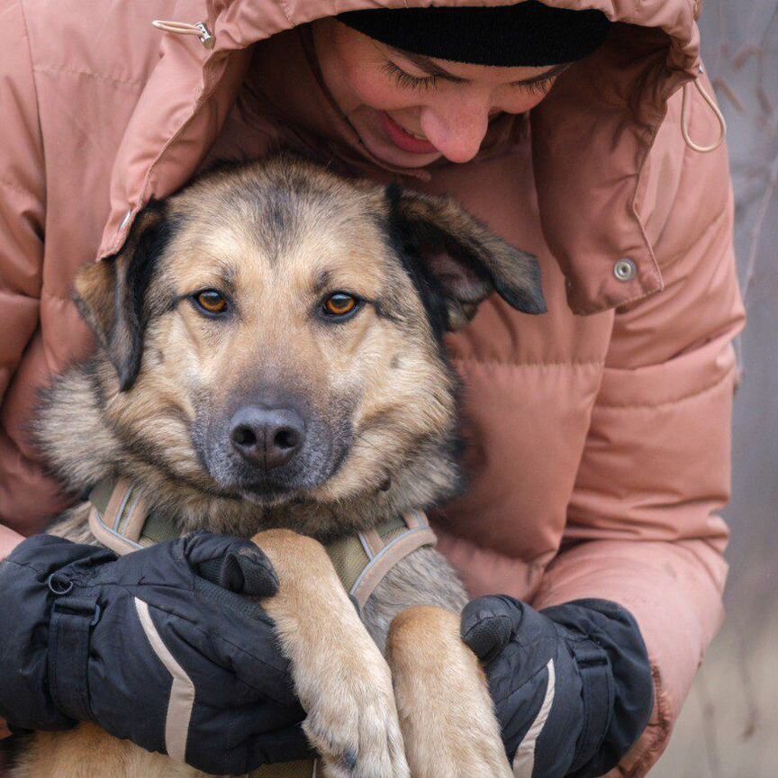 Ласковый пёс из приюта Жак