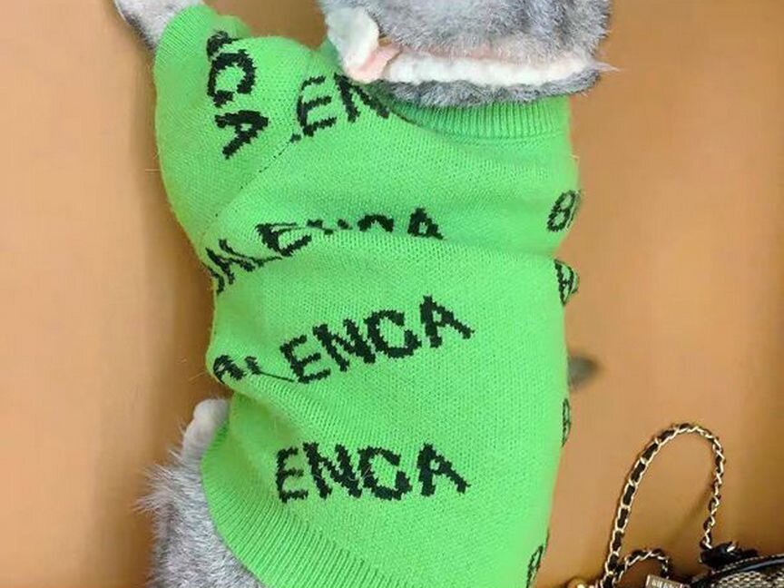 Одежда для кошек и собак