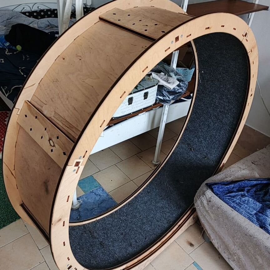 Беговое колесо для кошек