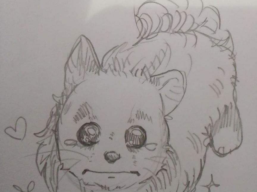 Нарисую вашего питомца