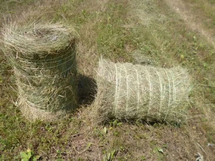 Сено в тюках