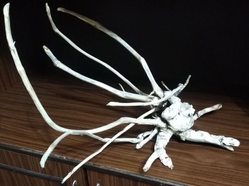 Коряги для рыбок, сомиков