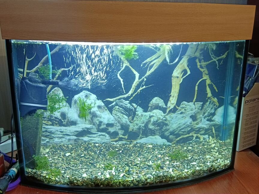 Аквариум