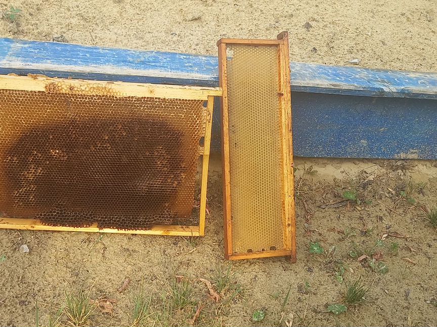 Рамки для ульев