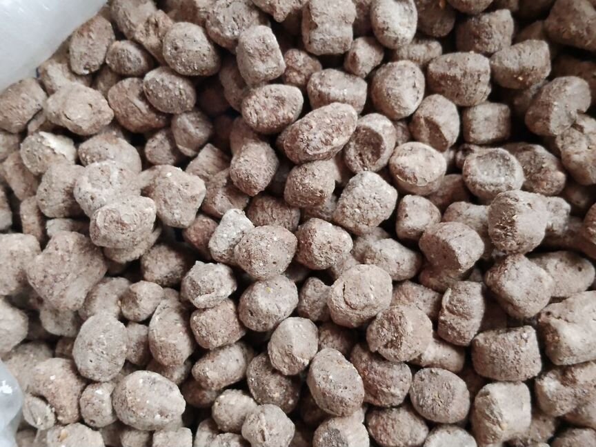 Сухой корм для собак