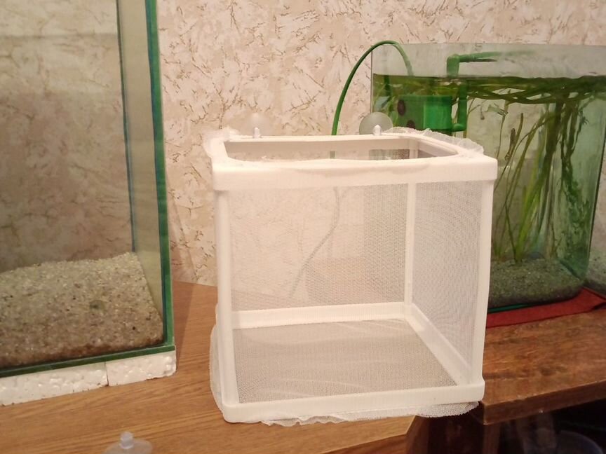 Отсадник,декорации,кормушка,сачок