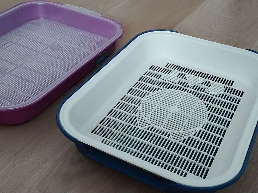 Лоток для котят бесплатно отдам
