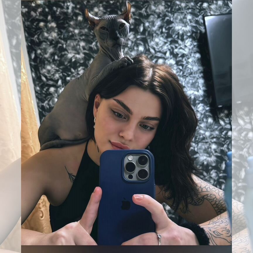 Продам кота