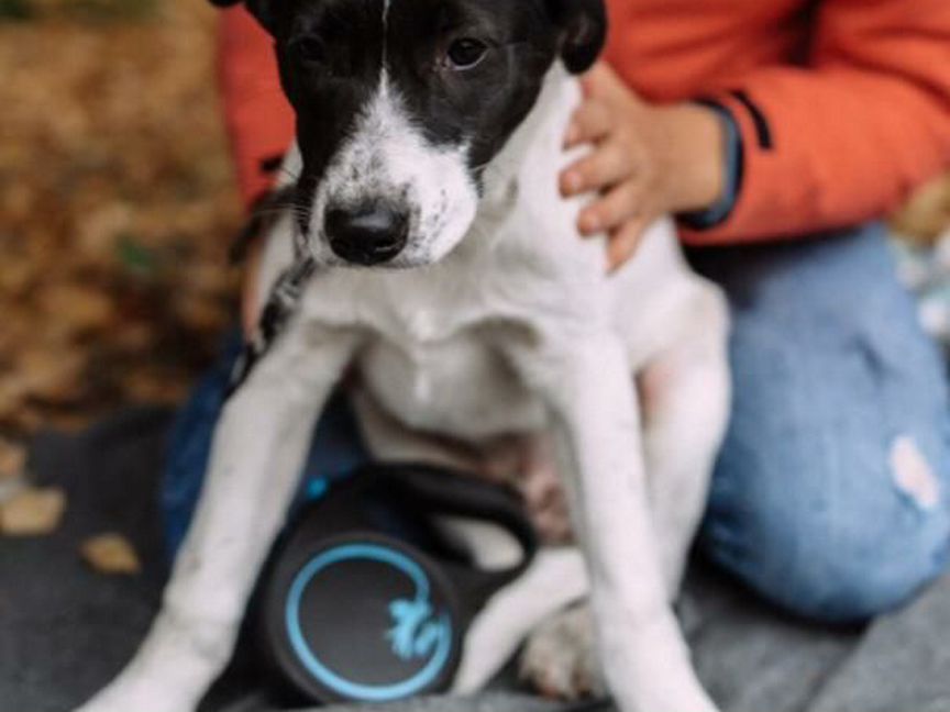 Ричи ищет дом