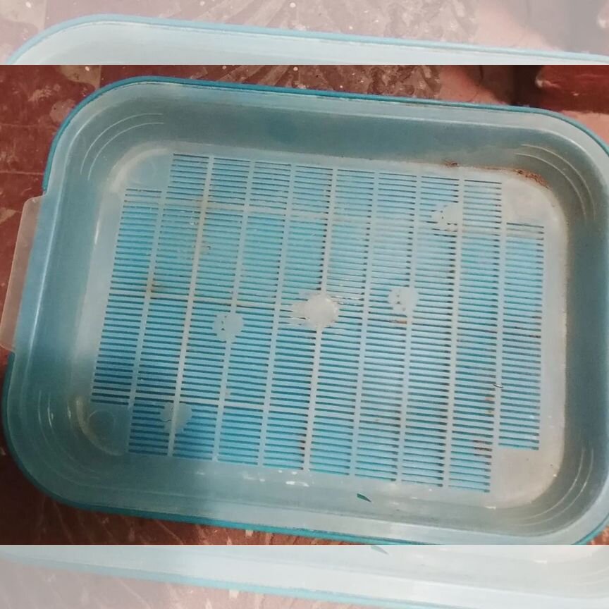 Лоток для кошек