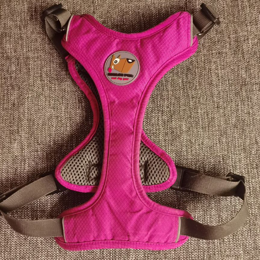 Шлейка для собаки