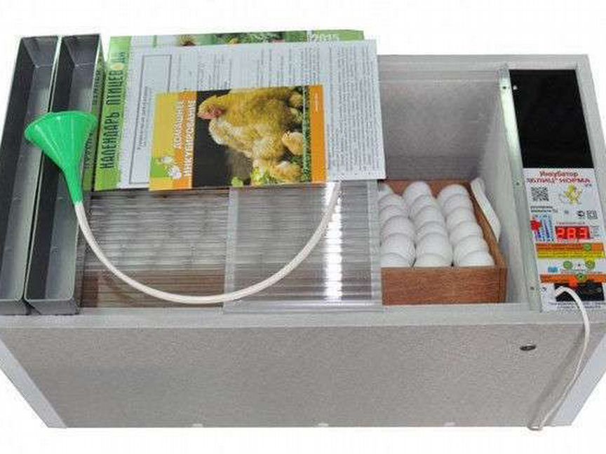 Инкубатор для яиц бу