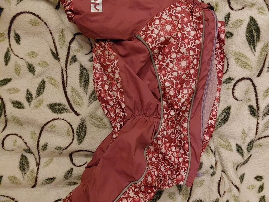 Костюм для собаки осенний