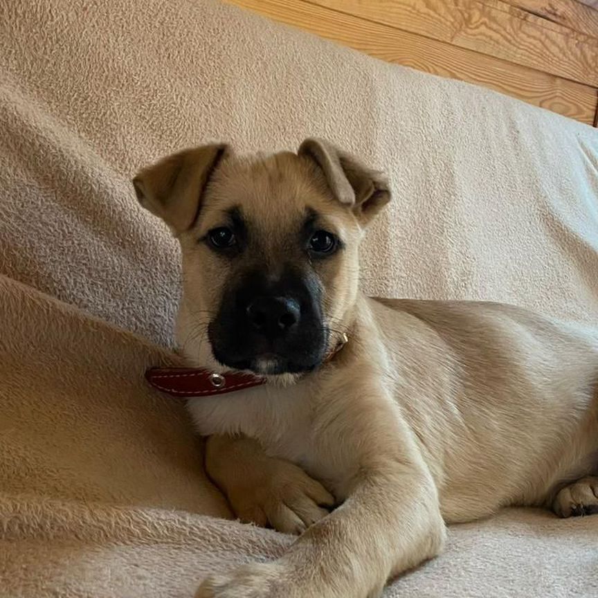 Бароша ищет дом