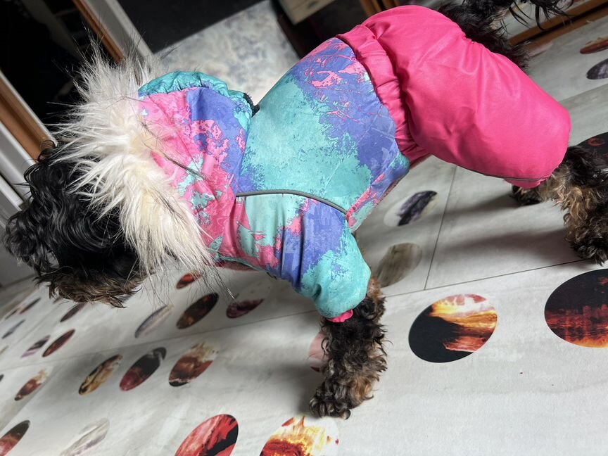 Комбенизон для маленькой собачки