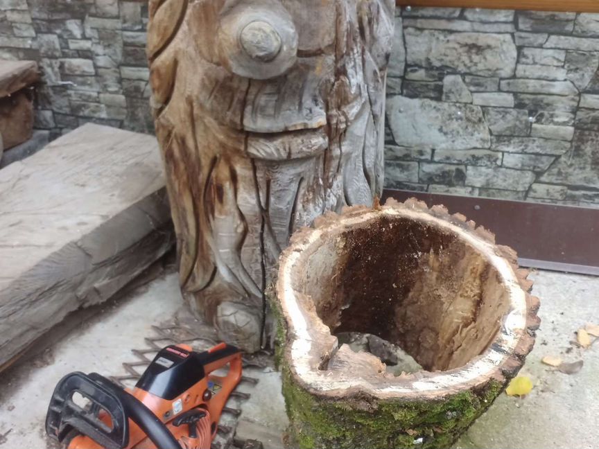 Скворечник дупло, кормушка