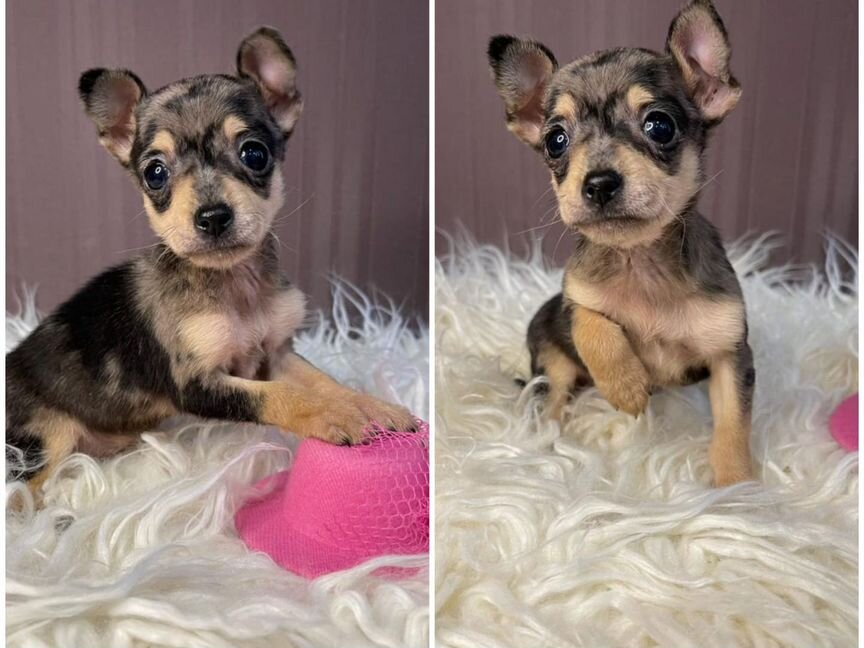 Чудо-девочка