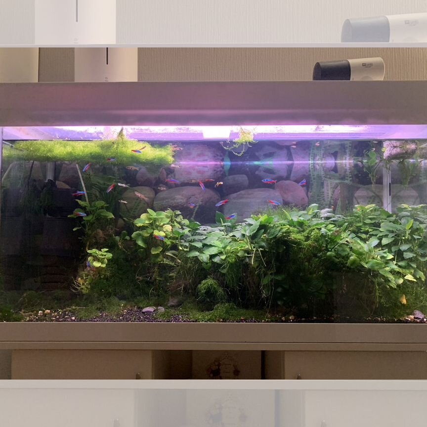 Аквариум с тумбой 210 литров