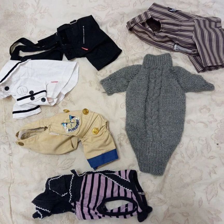 Костюмы для маленькой собачки (мальчика)