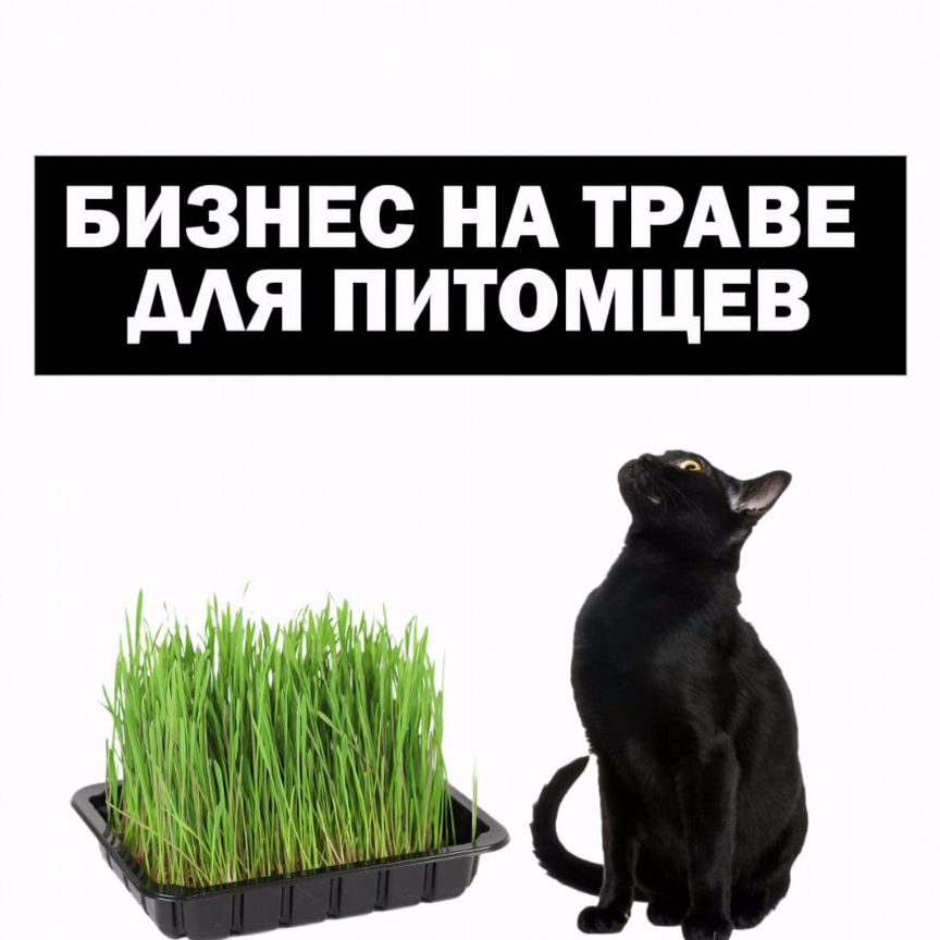 Трава для животных (готовый бизнес)