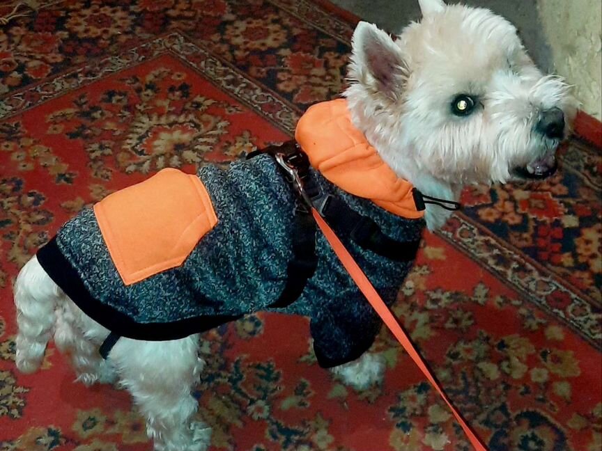 Куртка с карманом и шлейкой