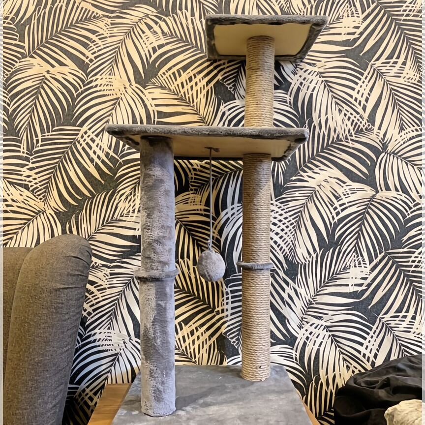 Когтеточка высокая новая