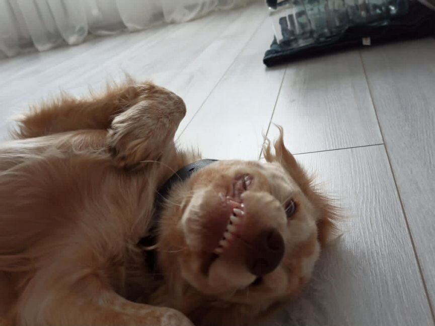 Зерносмесь