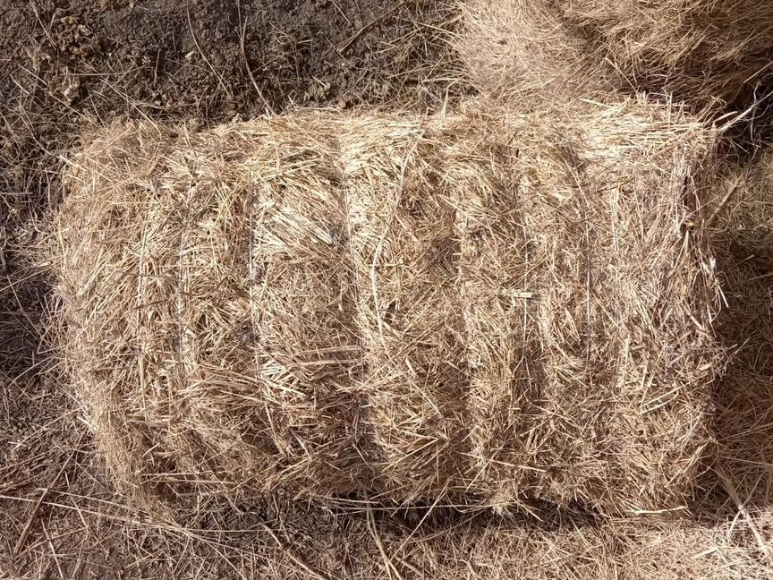 Сено в мини рулонах