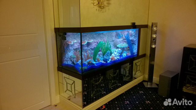 Аквариум на заказ в Москве дизайнерский