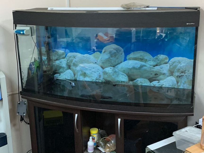 Аквариум с тумбой 250 л