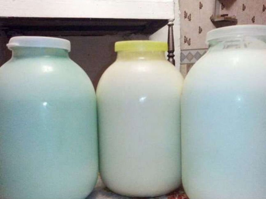 Молоко коровье