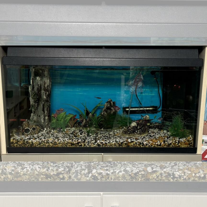 Аквариум juwel primo 110