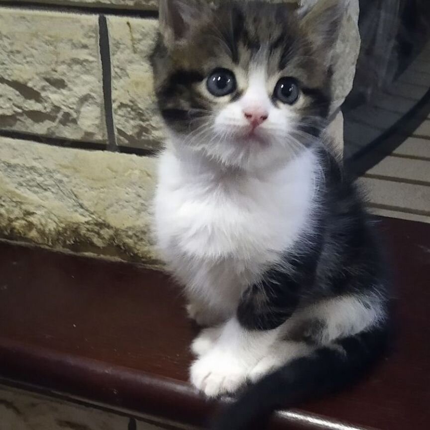 Подарок на Новый год