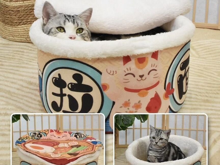 Лапша Кошачье гнездо