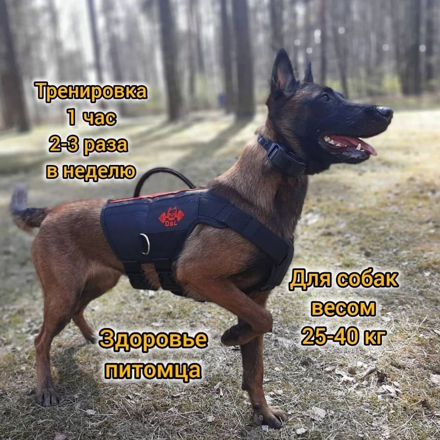 Спортивный жилет для собак с грузом 3 кг