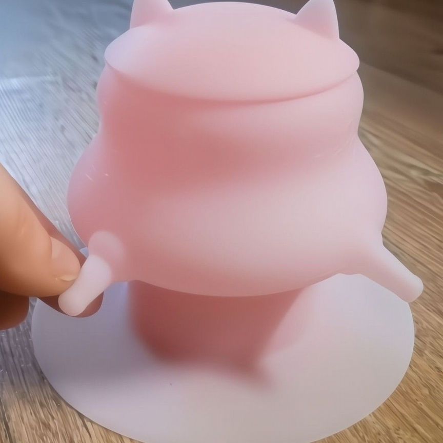 Для кормления котят