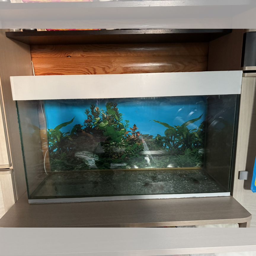 Аквариум на 180 литров