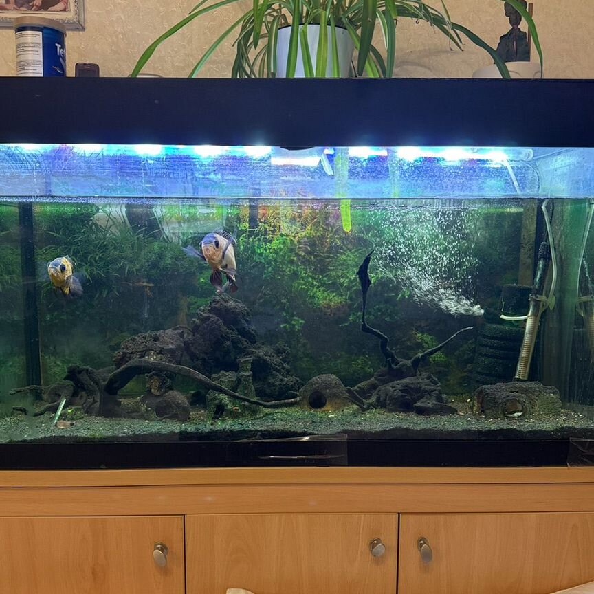 Аквариум 200 литров с тумбой москва