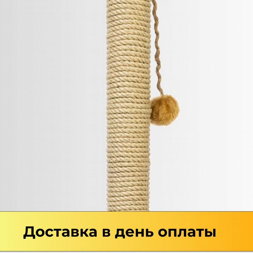 Когтеточка