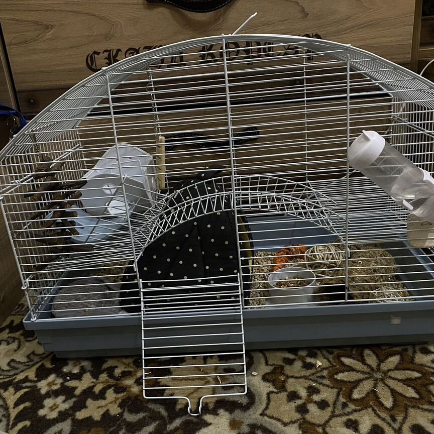 Клетка для хомяка большая