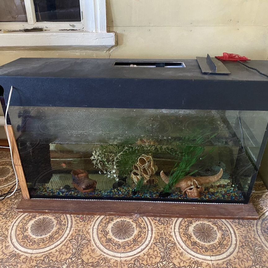 Аквариум с рыбками