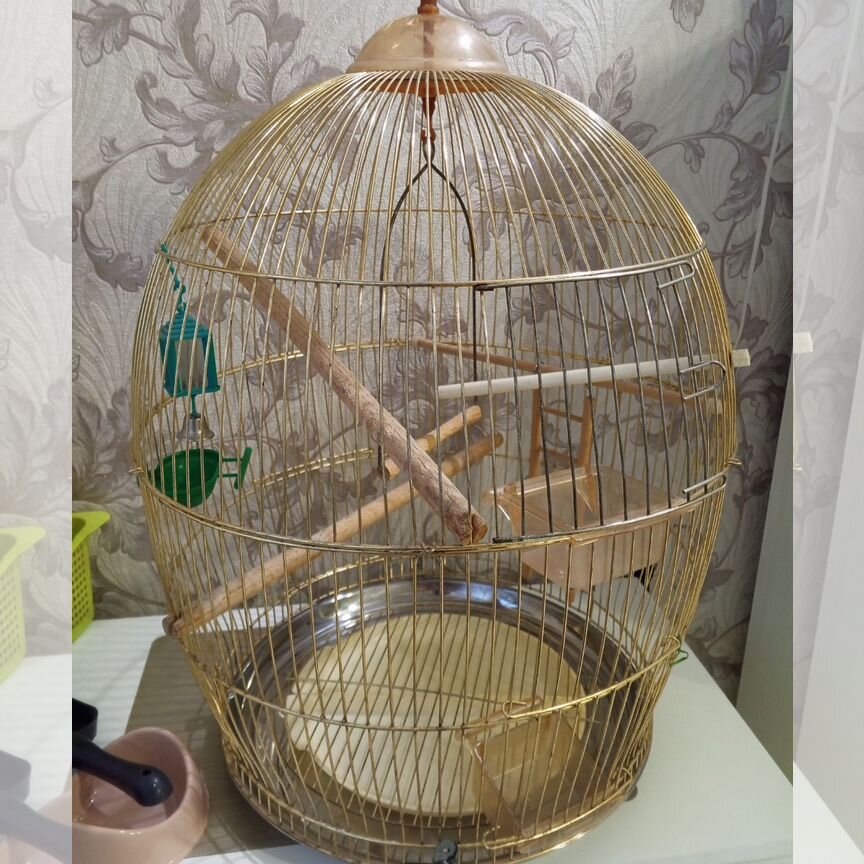 Клетка для попугая
