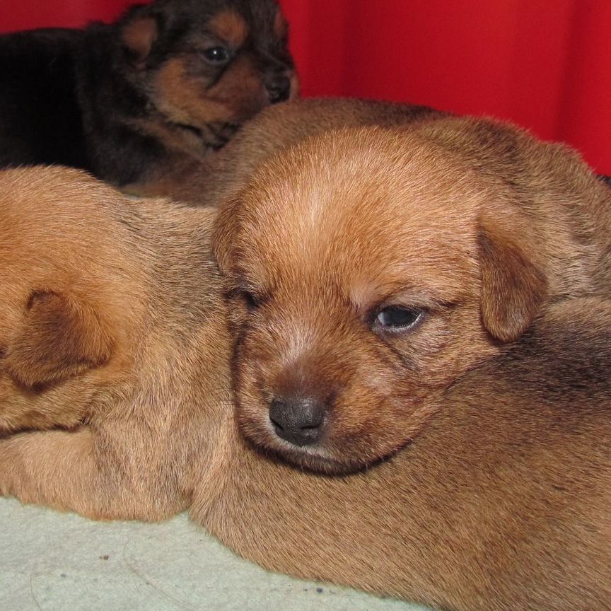 Малышата мальчики