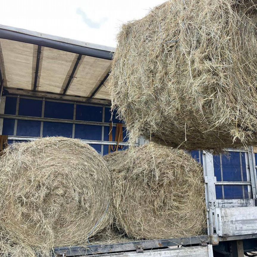 Сено с доставкой