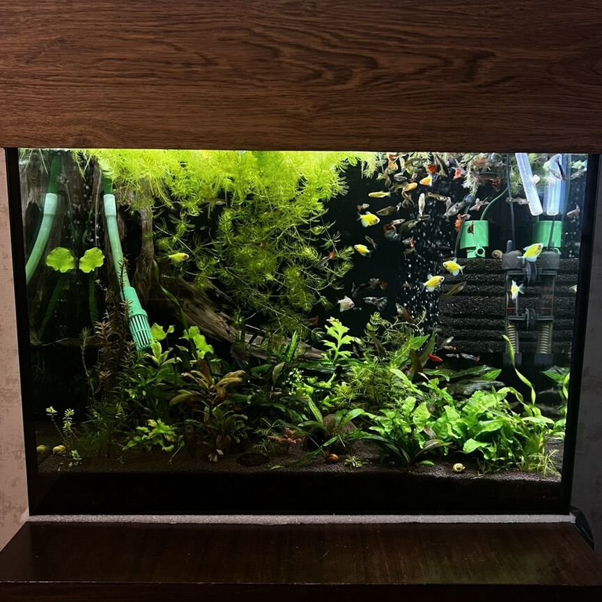 Аквариум с рыбками