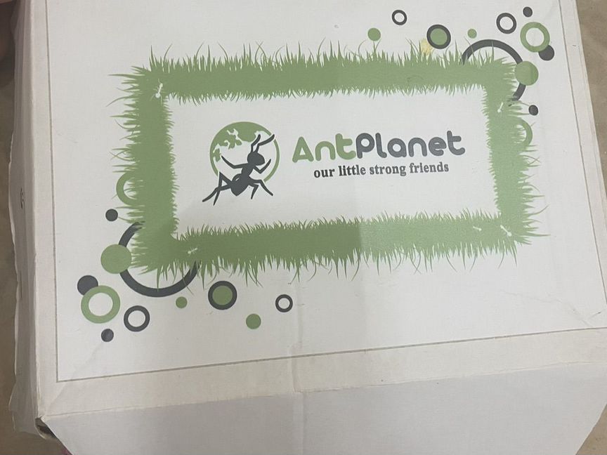 Домик для муравьев