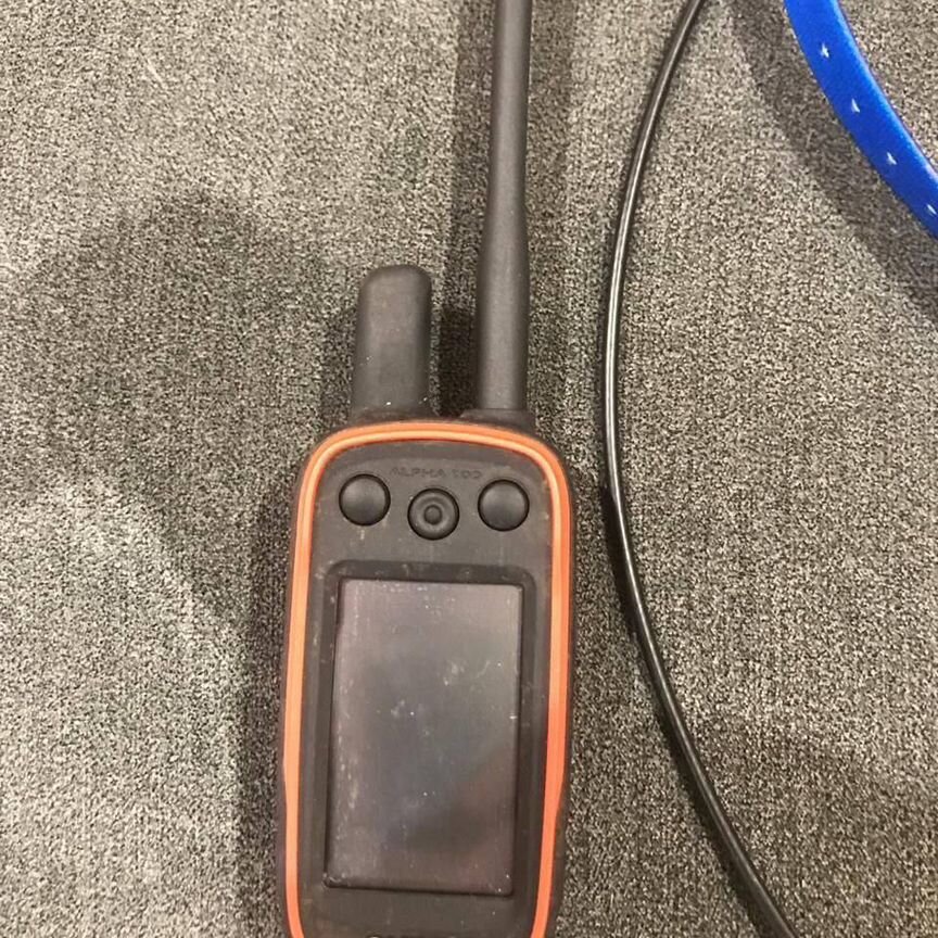 Навигатор garmin alpha 100 с ошейником