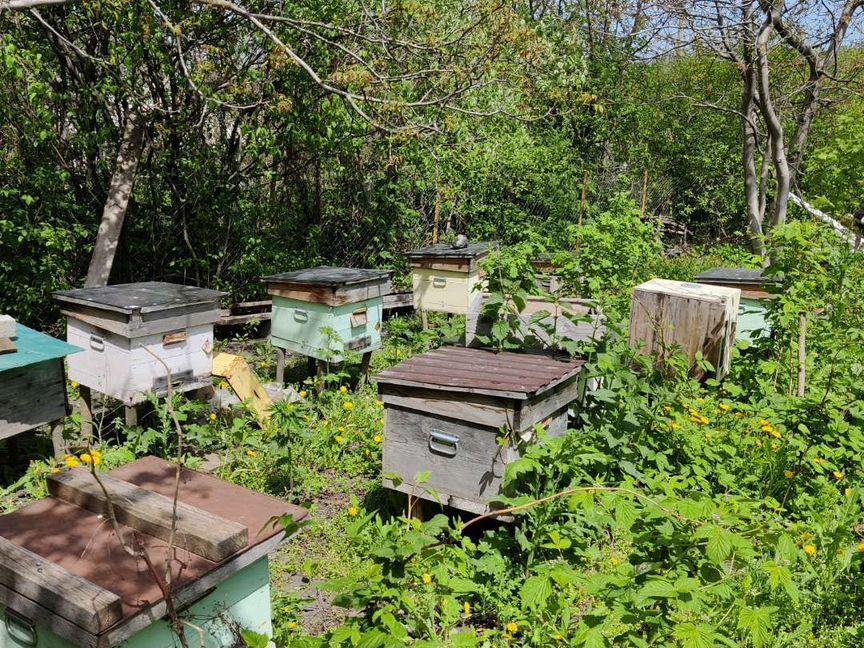 Оборудование лля пчеловодства