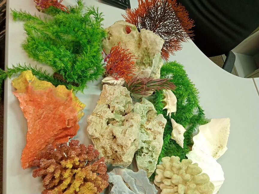 Аквариумные растения, кораллы, камни