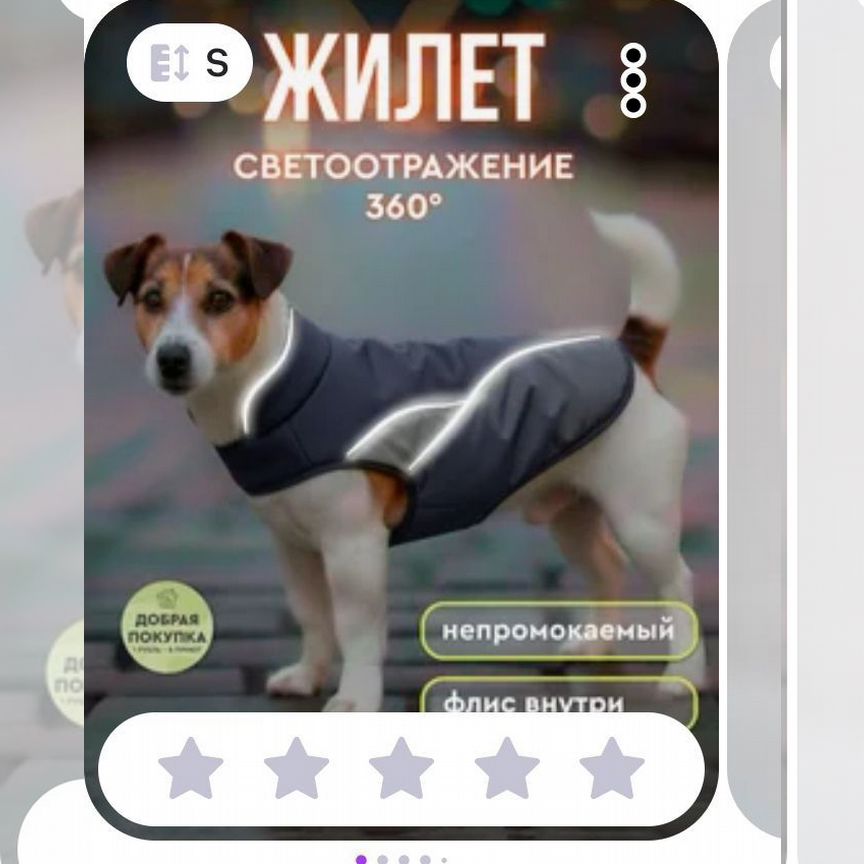 Одежда для собак